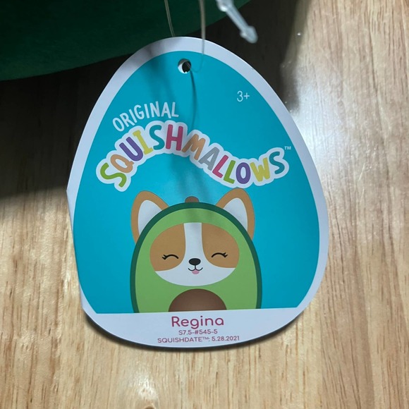 Squishmallows | Toys | Squishmallows Regina The Corgi As An Avocado 8 ...